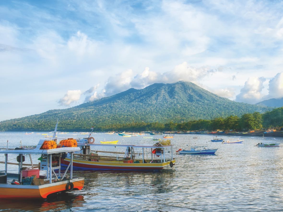 A message from EDF's chair Rising to the challenges - Environmental ...