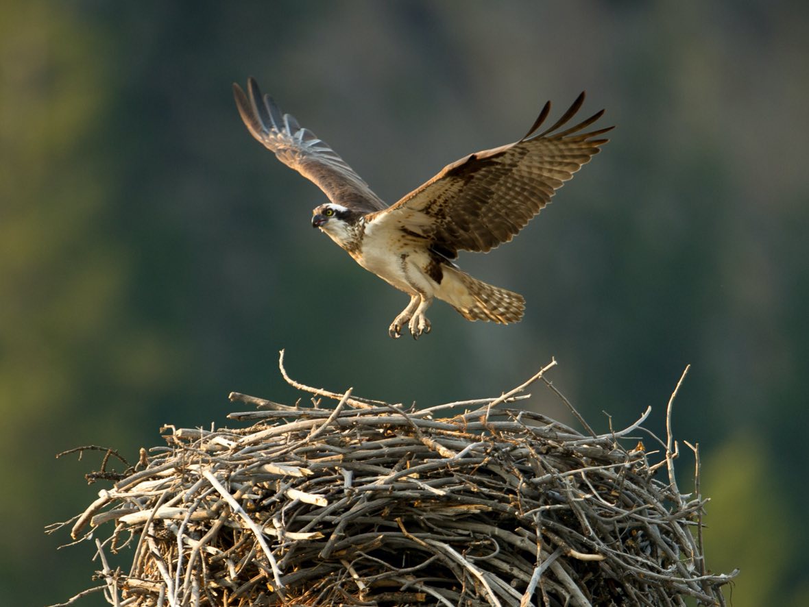 Defending bedrock environmental safeguards - Environmental Defense Fund ...